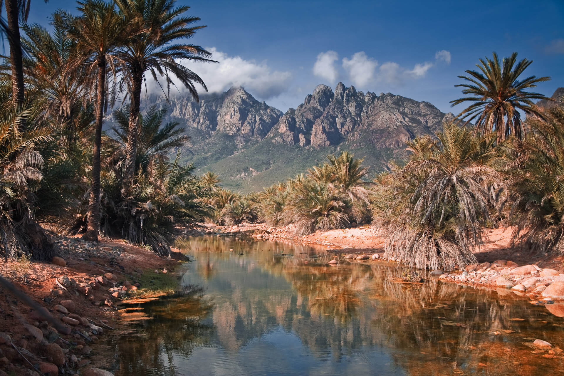 Socotra Island - Unusual, Wondrous, Lost World (2022) - Travel S Helper