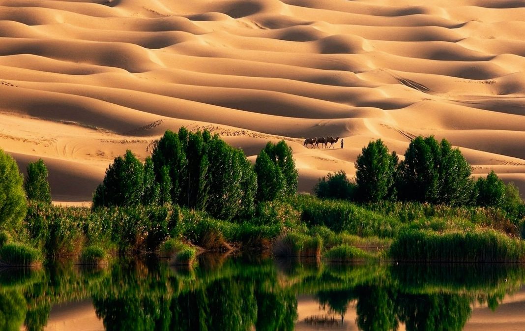 The Magic Of The Most Beautiful Deserts In The World (2022) - Travel S ...